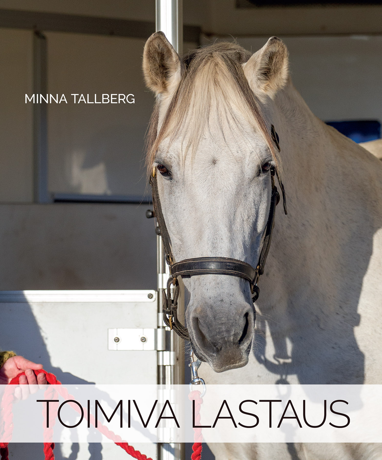 Toimiva lastaus -kirjasta sanottua – Minna Tallberg